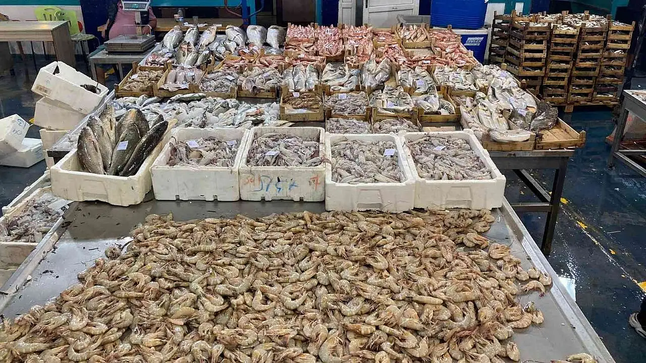 Av sezonu açıldı, balık hali balıkla doldu Av sezonu açıldı, balık hali balıkla doldu